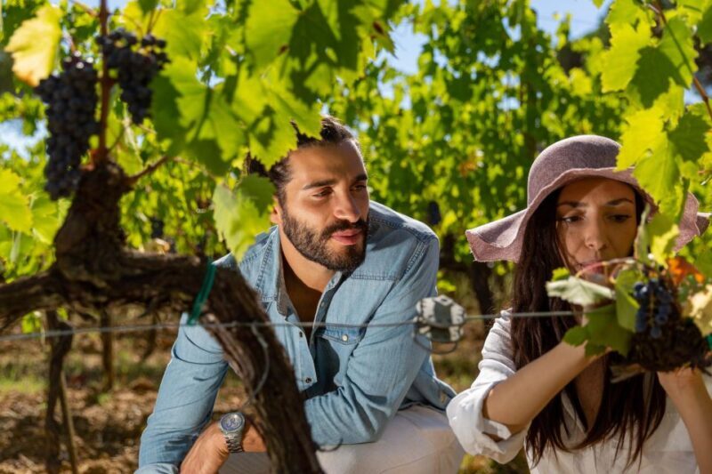 Montepulciano: Wine Tasting with typical Tuscan Cold Cuts - The Experience in Action