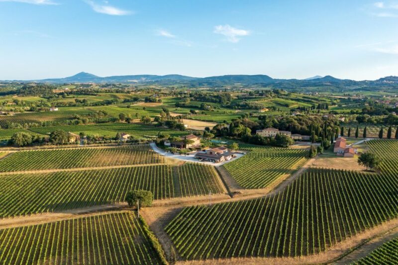 Montepulciano: Wine Tasting with typical Tuscan Cold Cuts - Accessibility and Practical Details