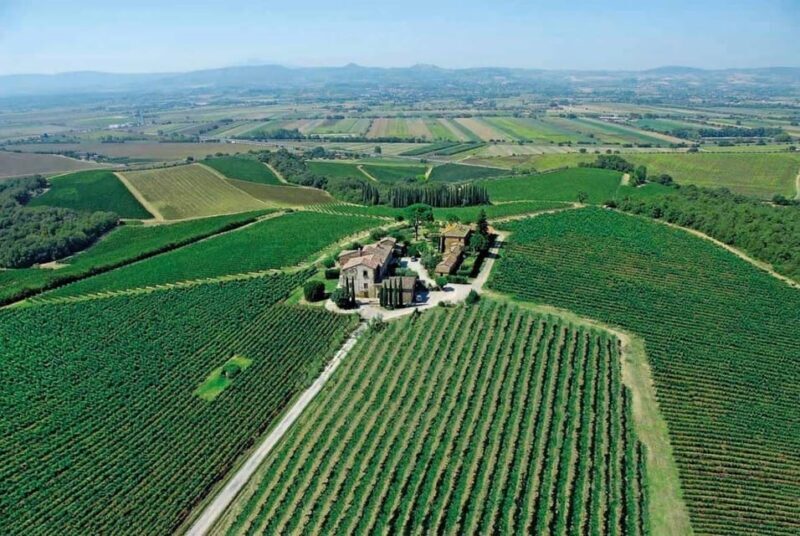 Montepulciano: Wine Tour and tasting - The Vineyards and Soil Explanation