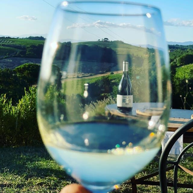 Montepulciano: Wine Tour and tasting - The Winery and Cellar Tour