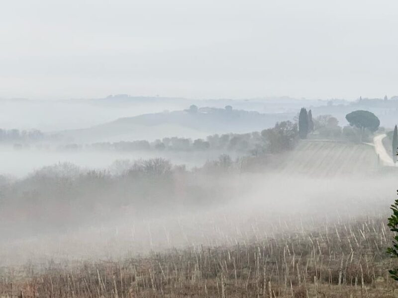 Montepulciano: Wine Tour and tasting - Final Thoughts