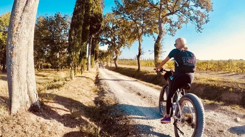 Montepulciano: Wine Tour E-Bike Experience - Who Will Love This Tour?