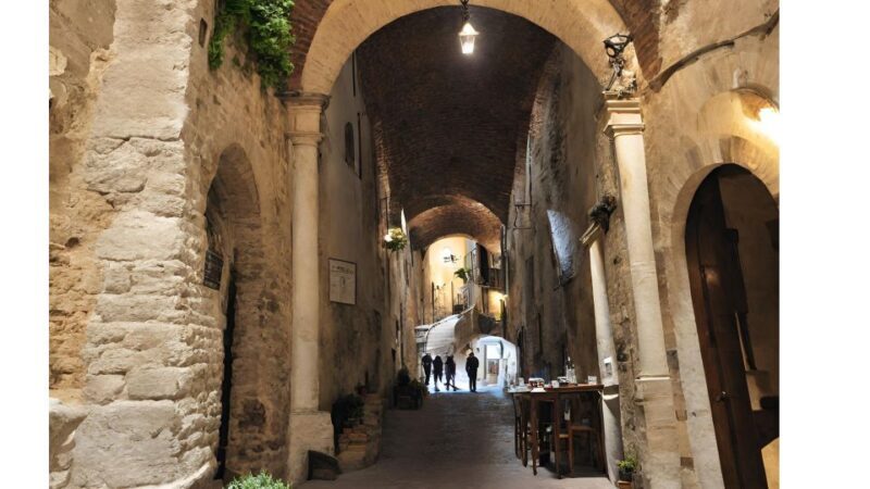 Montepulciano Wine Tour from Rome with Private Driver - The Experience Provider: Fattori Travel Services
