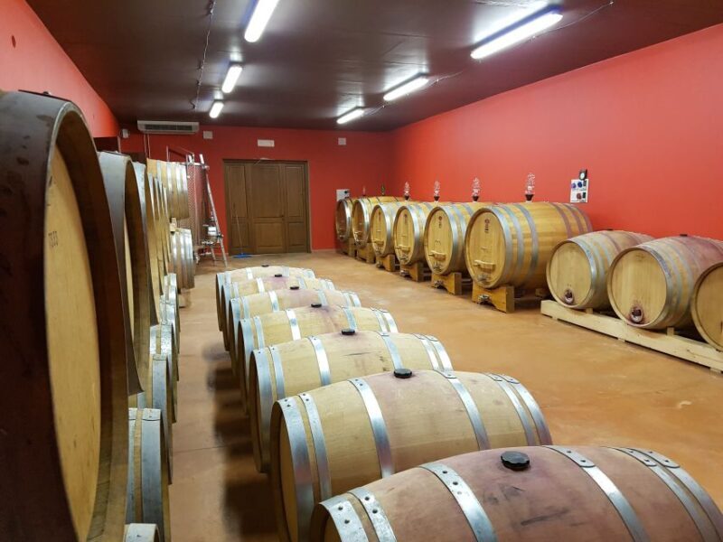 Montepulciano: Winery Tour, Tasting, and Vineyard Picnic - An In-Depth Look at the Experience