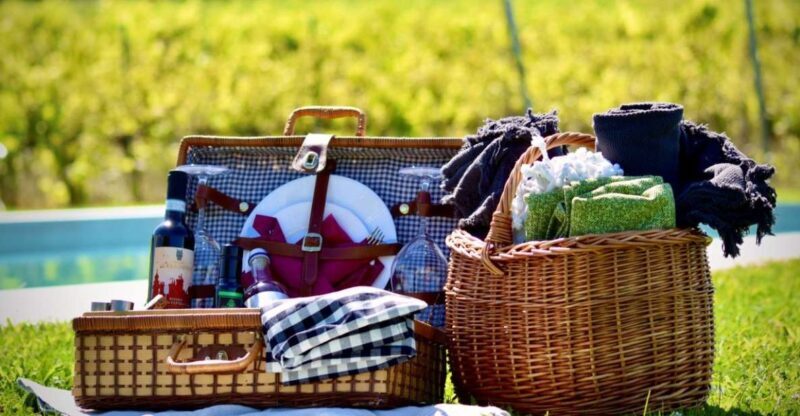 Montepulciano: Winery Tour, Tasting, and Vineyard Picnic - Who Will Love This Tour?