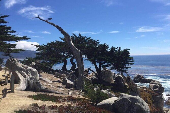 Monterey 1-Day Tour - A Day on the Monterey Coast: In-Depth Look at the Itinerary