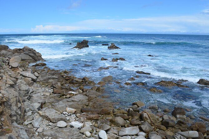 Monterey 1-Day Tour - Authentic Insights from Travelers