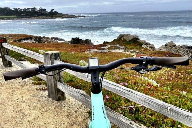Monterey 17-Mile Drive Electric Bike Guided Tour - Who Will Love This Tour?