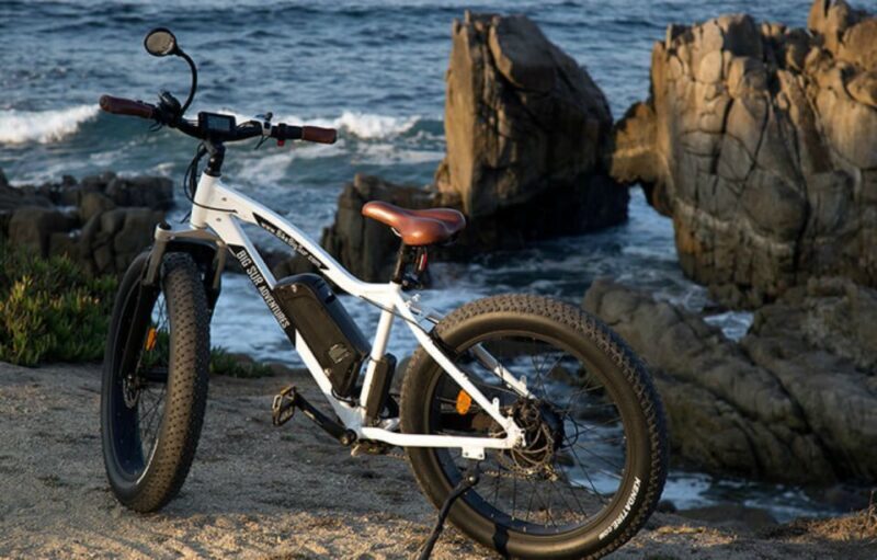 Monterey: 17-Mile Drive Guided E-Bike Tour - Who This Tour Is Best For