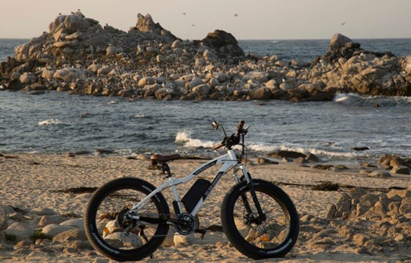 Monterey: 17-Mile Drive Guided E-Bike Tour - The Sum Up