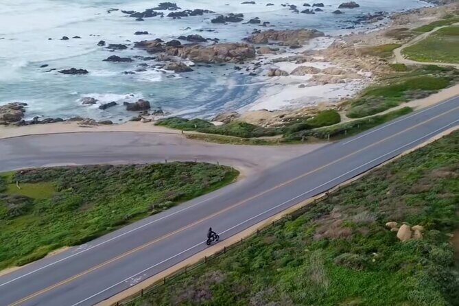 Monterey Bay Famous Dog Friendly Electric Bike and Sidecar Tour - Key Points