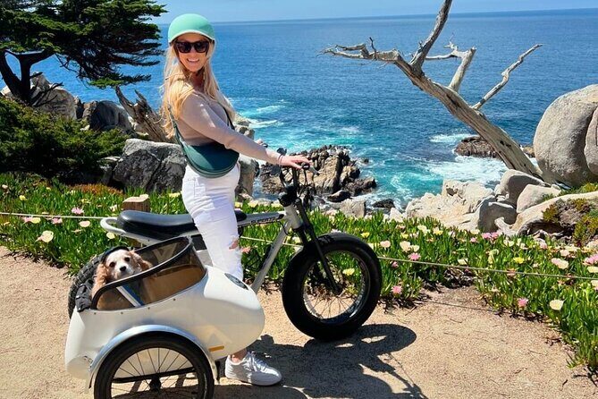 Monterey Bay Famous Dog Friendly Electric Bike and Sidecar Tour - An In-Depth Look at the Tour Experience