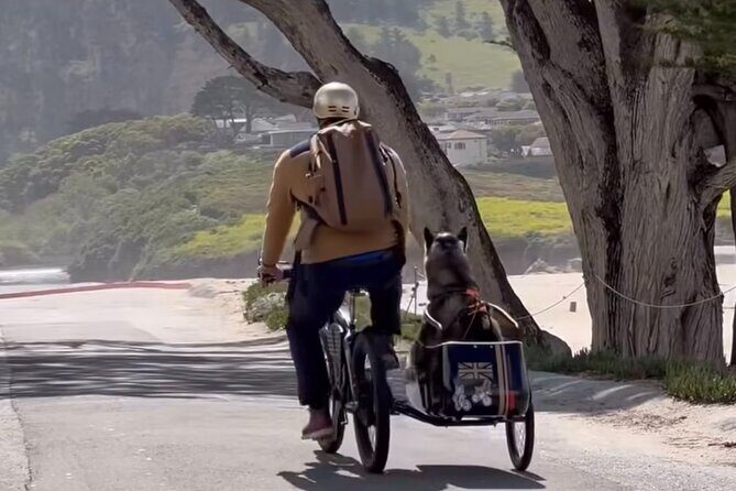 Monterey Bay Famous Dog Friendly Electric Bike and Sidecar Tour - Who Will Love This Tour?