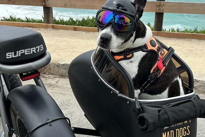 Monterey Bay Famous Dog Friendly Electric Bike and Sidecar Tour - Final Thoughts