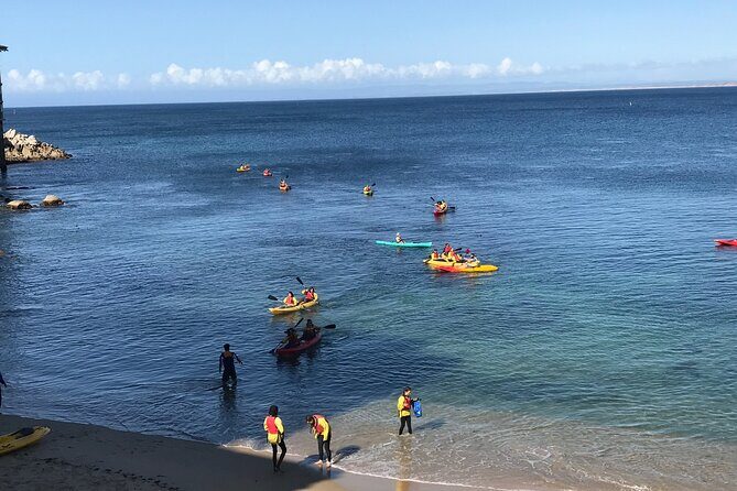 Monterey Bay Full-Day Kayak Rental: Otters, Seals and Sea Lions - What to Expect During Your Day on the Water
