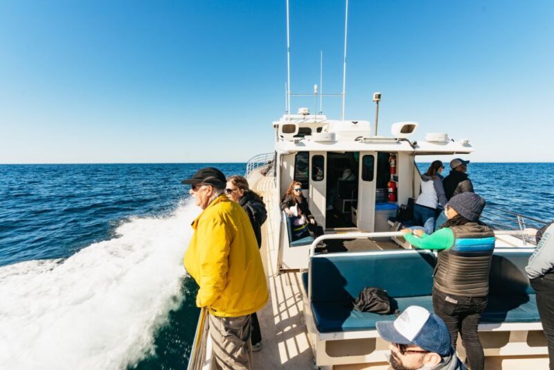 Monterey Bay: Whale Watching Tour - Final Thoughts