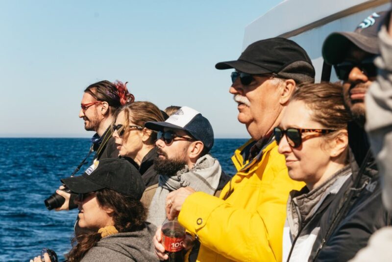 Monterey Bay: Whale Watching Tour - Frequently Asked Questions