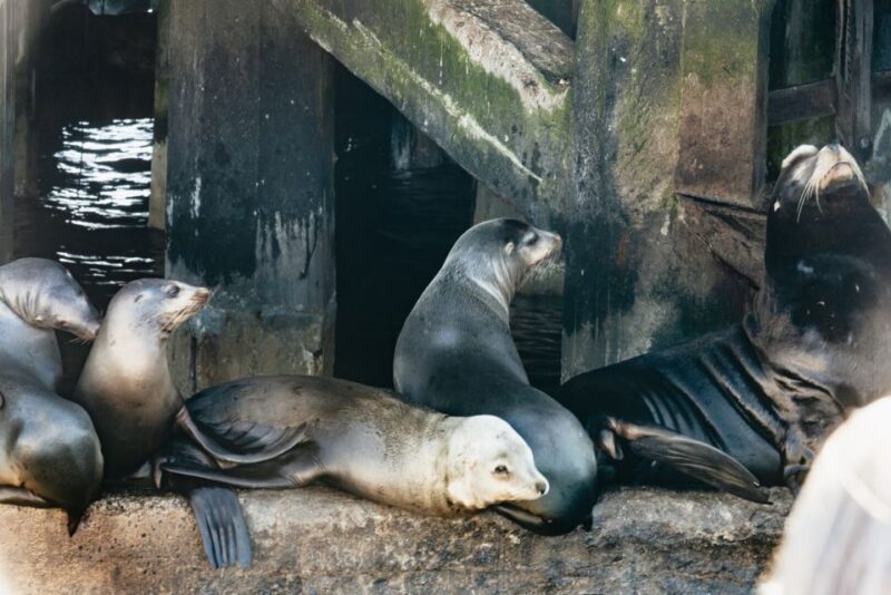 Monterey Bay: Whale Watching Tour - In Closing