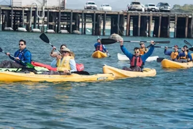 Monterey: Cannery Row Kayak Tour - The Experience in Detail