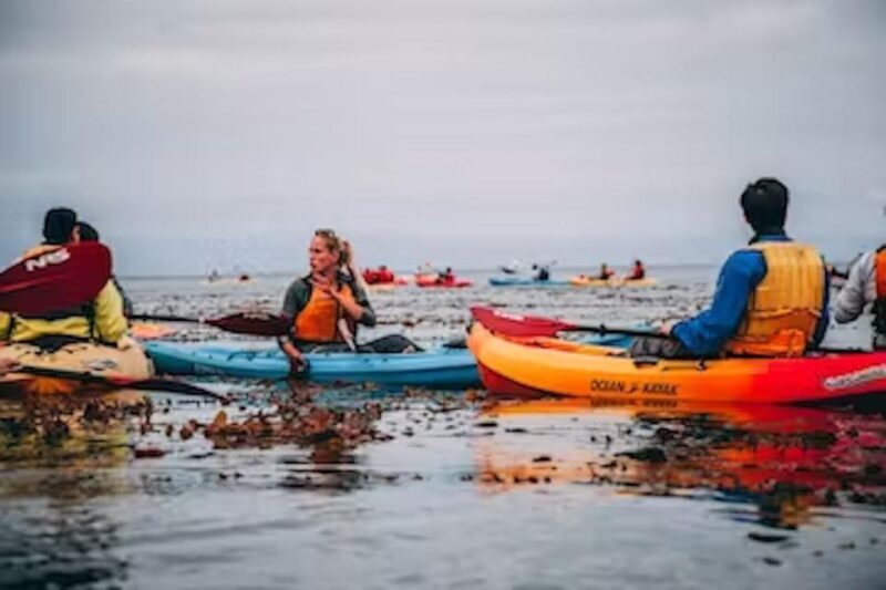 Monterey: Cannery Row Kayak Tour - Who Will Love This?