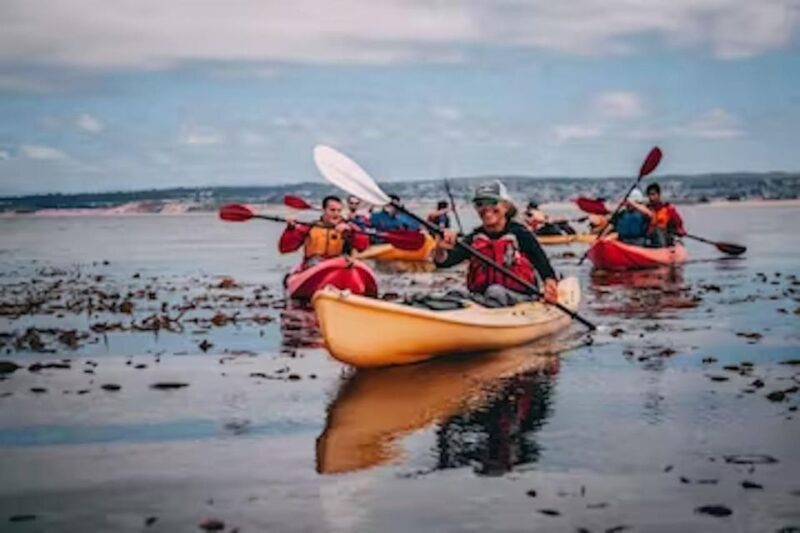 Monterey: Cannery Row Kayak Tour - Frequently Asked Questions