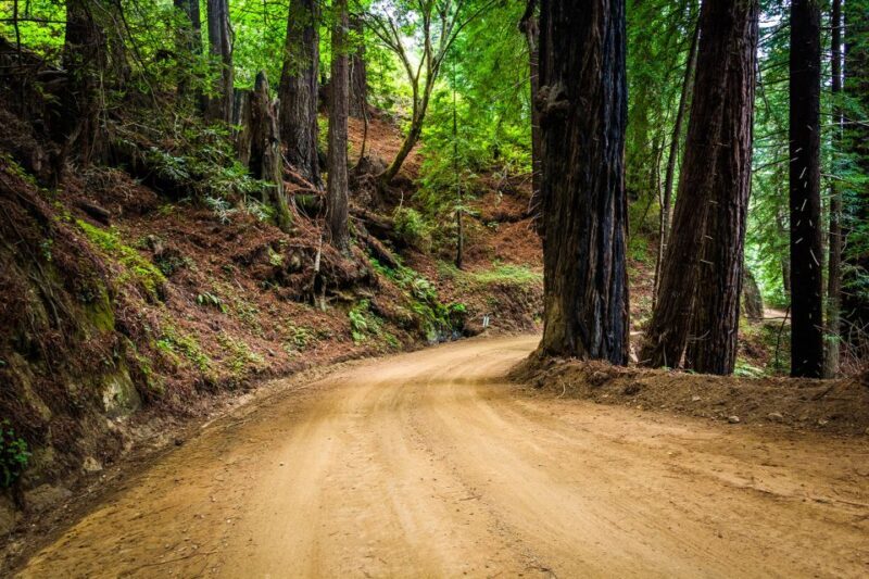 Monterey, Carmel, 17 Mile Dr, Big Sur & Mcway Falls Pvt Tour - In Summary