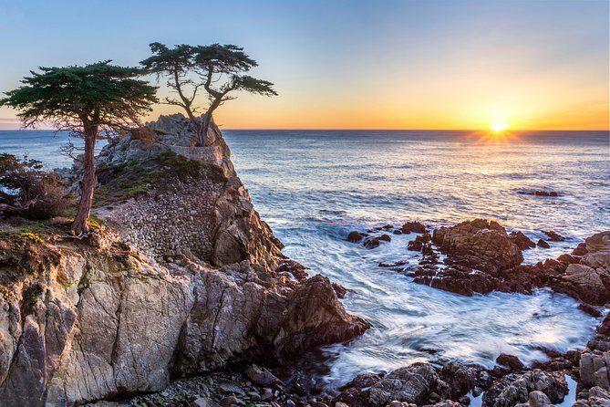 Monterey, Carmel and 17-Mile Drive: Full Day Tour from SF - Comfortable Transportation and Organized Tour