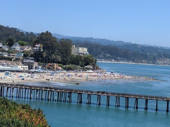 Monterey, Carmel and Big Sur private Day Trip from San Francisco - The Value and Practical Considerations