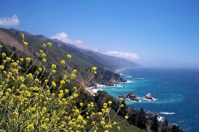 Monterey Carmel Big Sur Pebble Beach by Luxury Vehicle 5 hrs~ - An Overview of the Experience