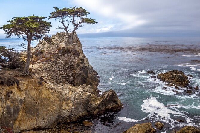 Monterey Carmel Big Sur Pebble Beach by Luxury Vehicle 5 hrs~ - What Makes This Tour Stand Out