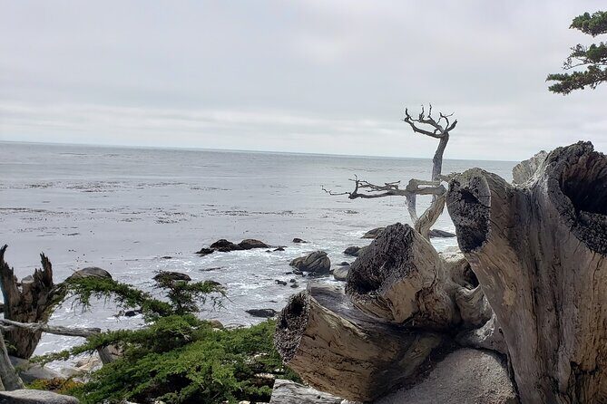 Monterey & Carmel Sightseeing Private Tour (10-Hour minimum) - The Sum Up: Is This Tour Worth It?