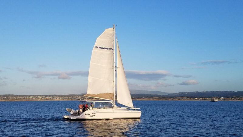 Monterey: Catamaran Sailing Cruise - Key Points