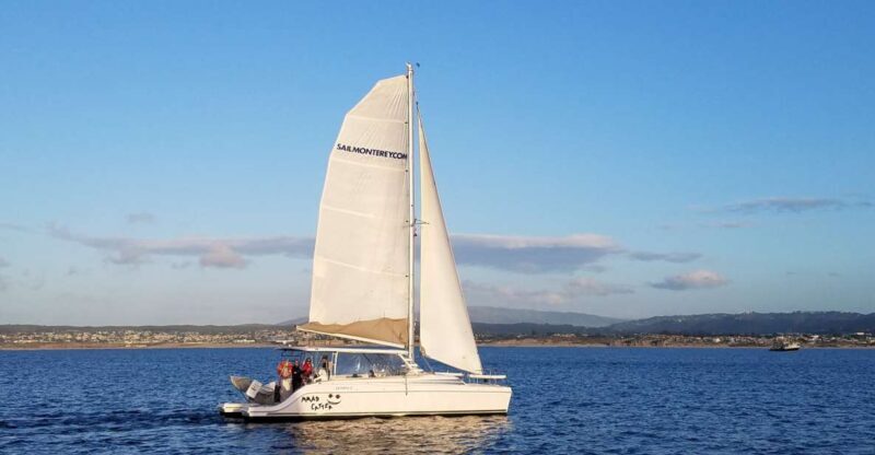 Monterey: Catamaran Sailing Cruise - What to Expect at Each Step