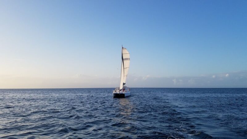 Monterey: Catamaran Sailing Cruise - The Sum Up