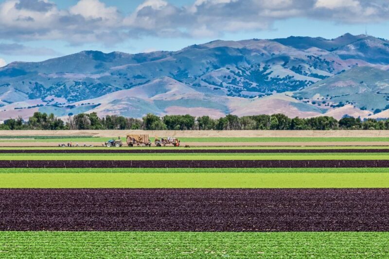 Monterey County Salinas Valley Farm Tour - Key Points