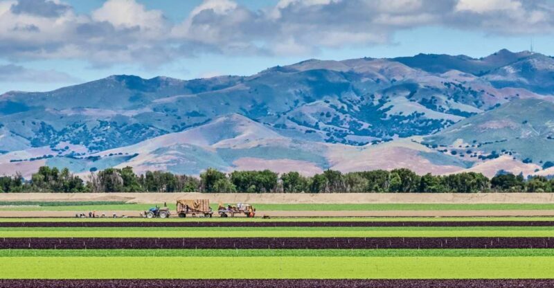Monterey County Salinas Valley Farm Tour - A Close Look at the Monterey County Salinas Valley Farm Tour