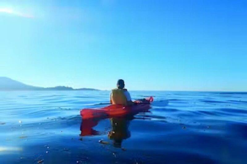 Monterey: Pebble Beach Kayak Tour - A Close Look at the Itinerary and Experience