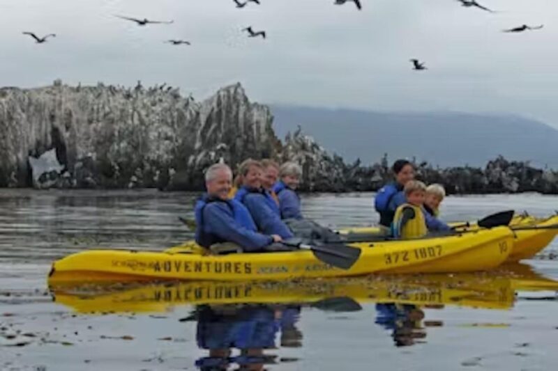 Monterey: Pebble Beach Kayak Tour - Who Should Consider this Tour