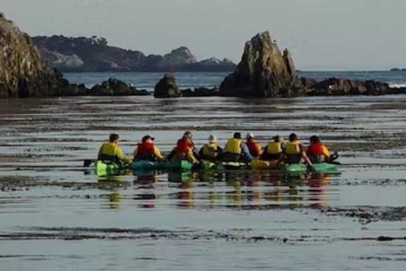 Monterey: Pebble Beach Kayak Tour - FAQ