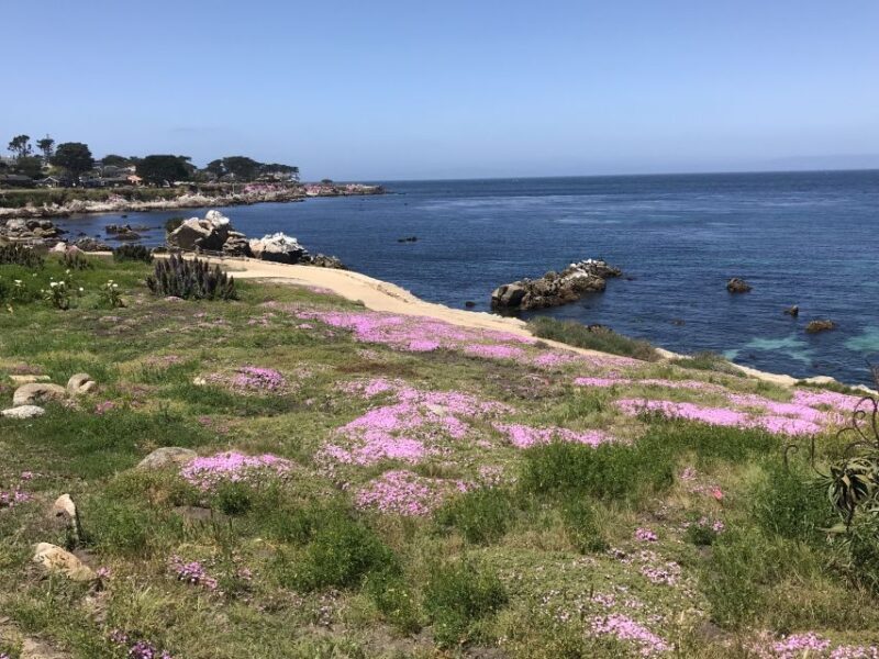 Monterey Peninsula Sightseeing Tour including 17 Mile Drive - An In-Depth Look at the Monterey Peninsula Sightseeing Tour