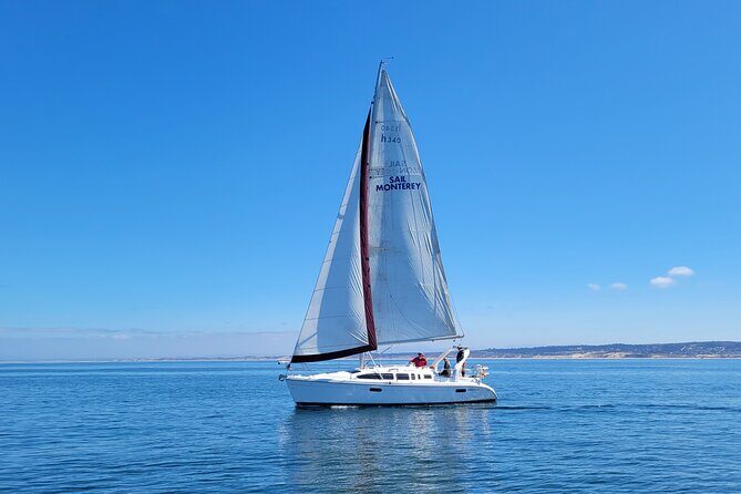 Monterey Private 3 - 4 Hour Whale Watching Cruise - Introduction and First Impressions