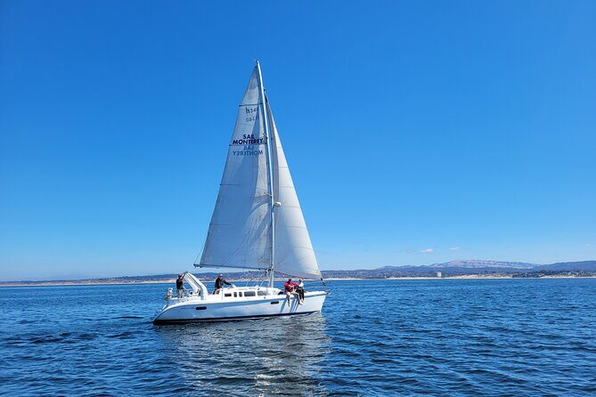 Monterey Private 3 - 4 Hour Whale Watching Cruise - Who Should Consider This Tour?