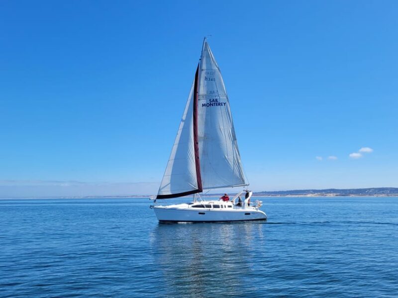 Monterey: Private Whale Watching/Sailing Tour for 6 - Who Is This Tour Best For?