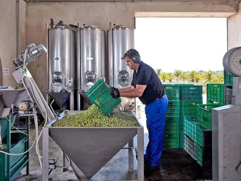 Monterosa Olive Grove: Visit to the Mill & Olive Oil Tasting - The Value of the Experience