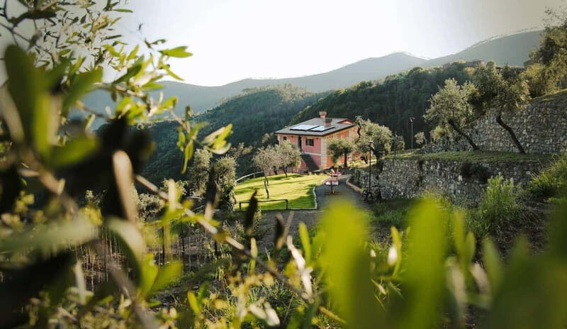 Monterosso al Mare: "Make your Pesto" Cooking Class- 5 Terre - A Deep Dive into the Experience