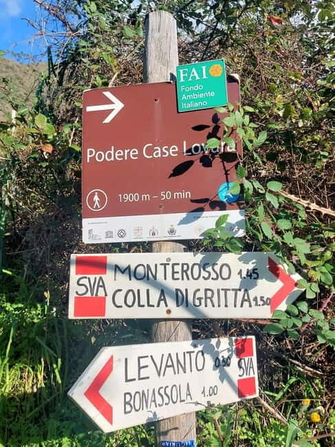Monterosso Hiking Tour: Discover the Best Trails of 5 Terre - Final Thoughts