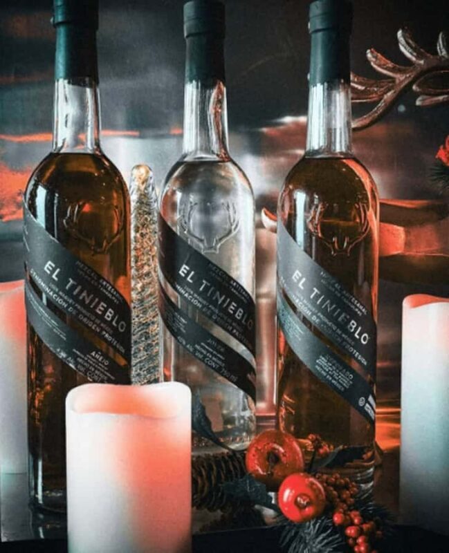 Monterrey: Mezcal Tasting - Key Points