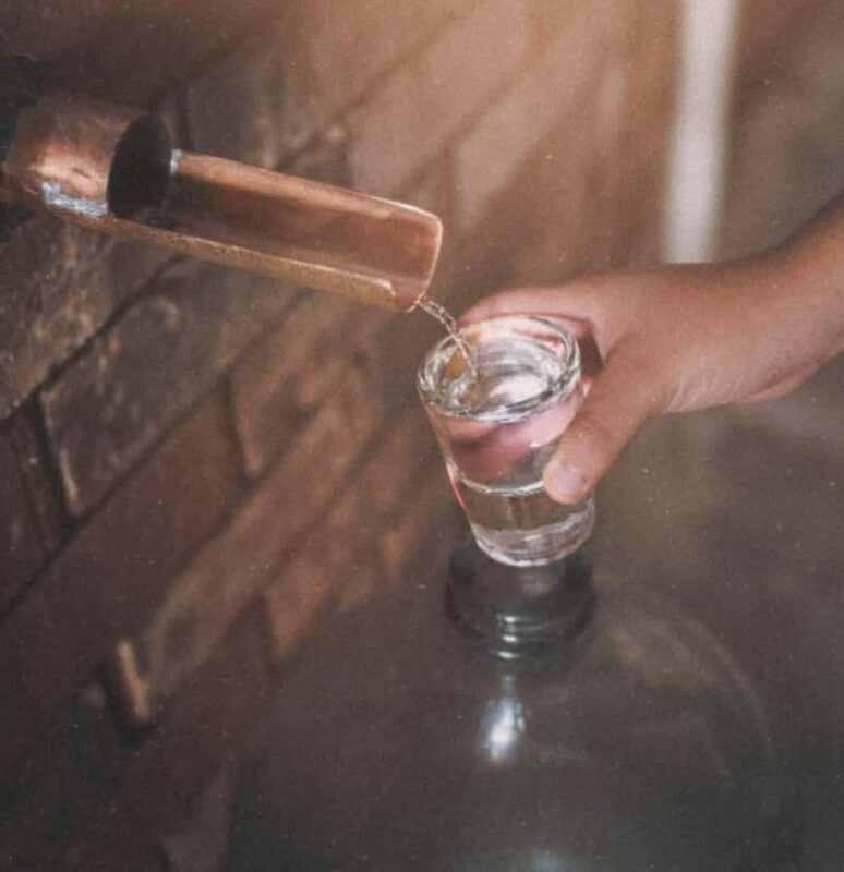 Monterrey: Mezcal Tasting - A Closer Look at the Monterrey Mezcal Tasting Experience