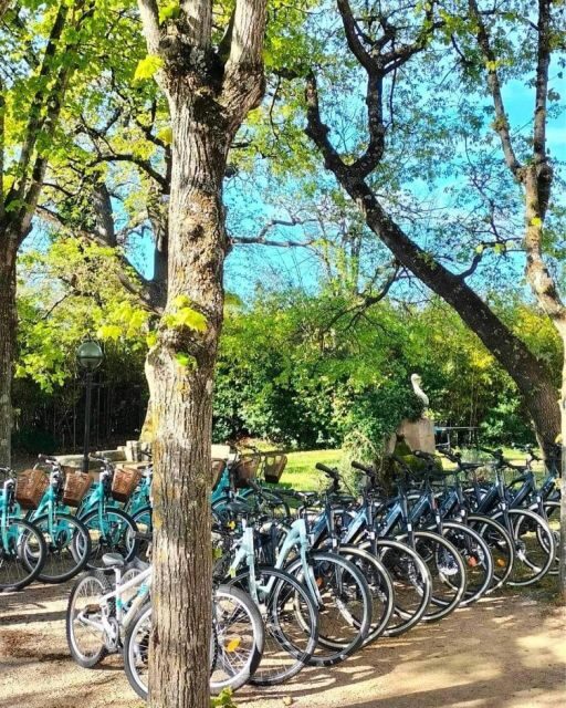 Monteux: Bike Rental - Discovering Monteux and the Côte dAzur by Bike