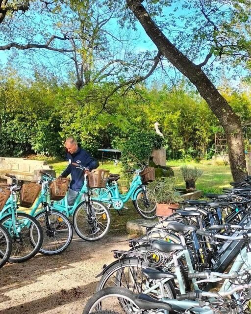 Monteux: Bike Rental - The Sum Up